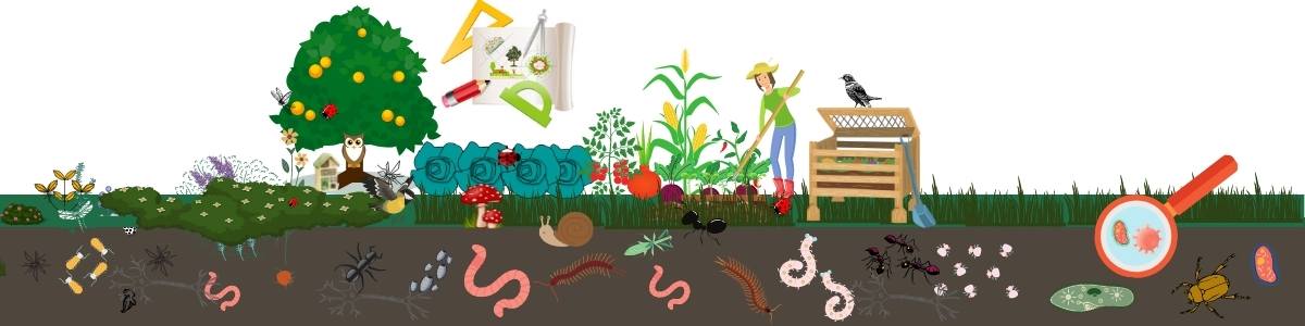 claves de diseño del huerto agroecológico | La Huerta con Lupa
