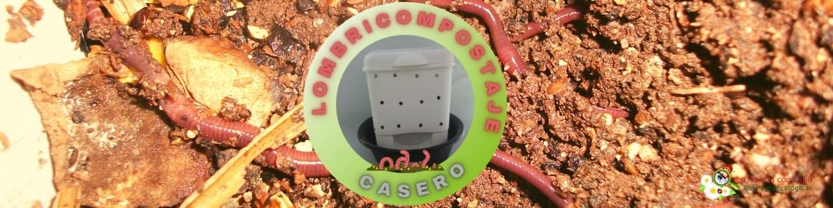¿Cómo hacer una lombricompostera fácil en casa? | La Huerta con Lupa