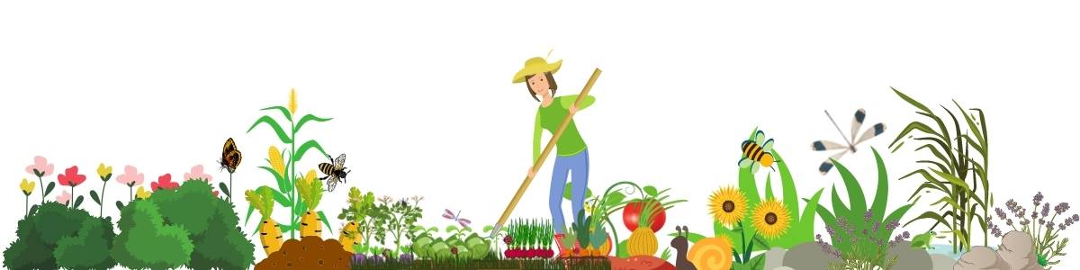 Servicios agroecológicos | La Huerta con Lupa